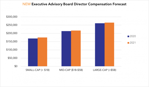 Board Director Compensation - Executive Advisory